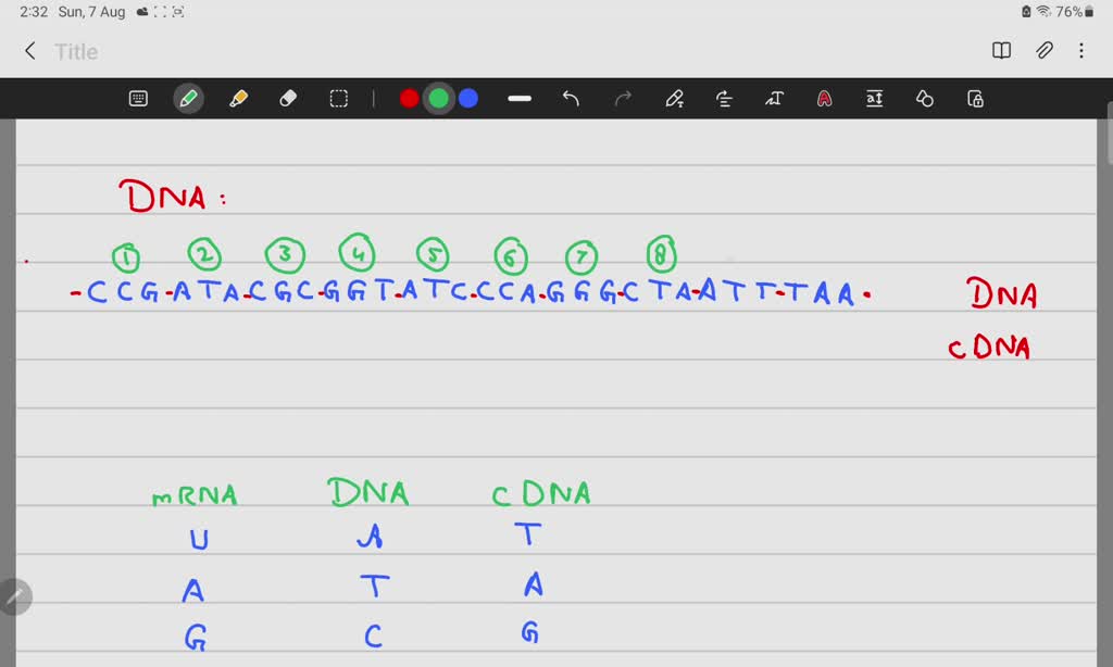 SOLVED: Break the following DNA sequence into triplets. (Draw a line to separate triplets) C C G ...