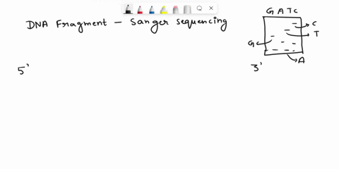 Assignment Structure and Function of Nucleotides Module 8:...
