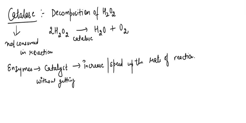 SOLVED: Place the steps in the correct order to represent a degradation ...