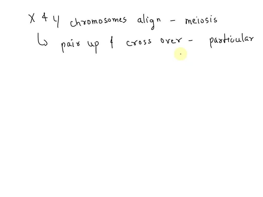 Solved How Do X Ad Y Chromosomes Align During Meiosis Pseudoautosomal Regions Help To Pair