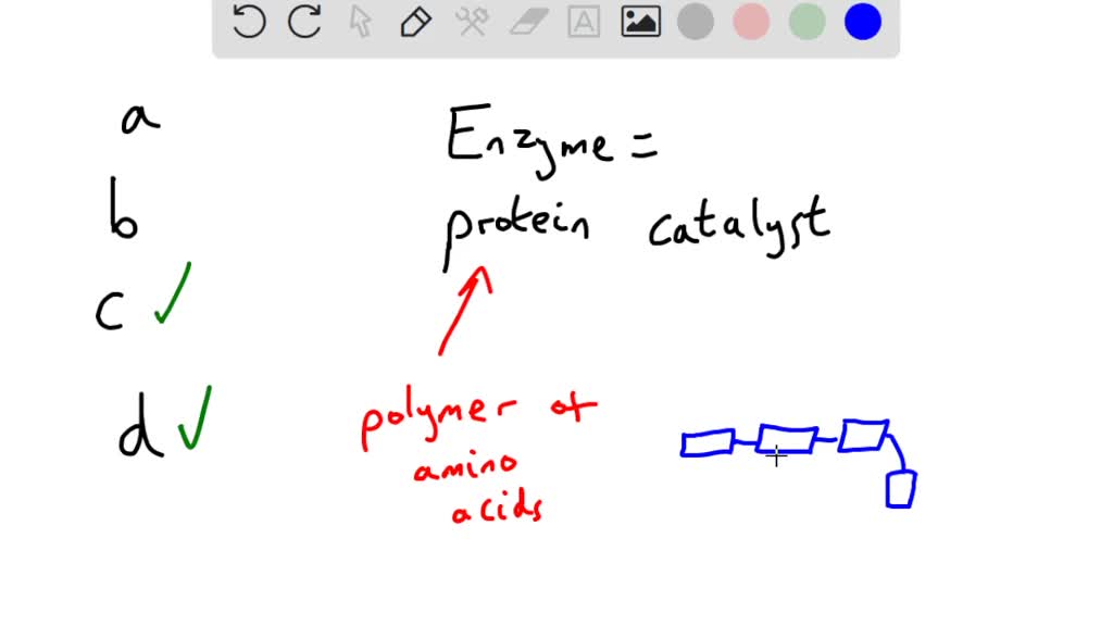 SOLVED: "Why are amino acids important in an enzyme? Some amino acids ...