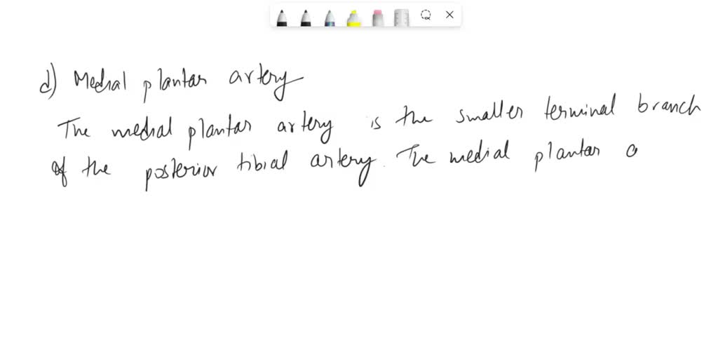 SOLVED: Identify the structure marked Y in the Figure above. X Y Z a ...