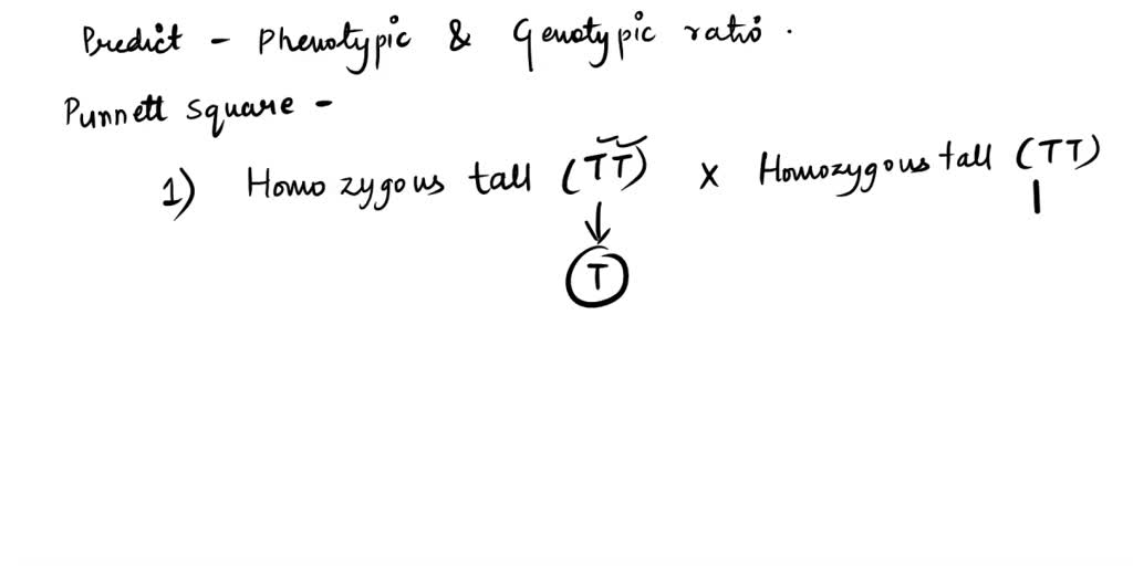 Predicting Genotype And Phenotype And Using Punnett Squares Background Punnett Squares Are Used