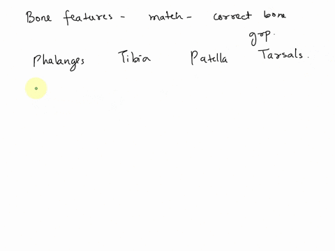 Determine which bone does not belong to the group compare...