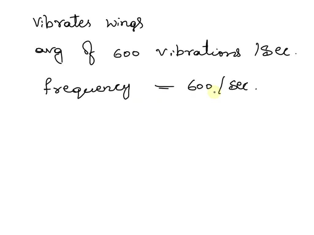 SOLVED: The buzzing sound from a mosquito is produced when it vibrates ...