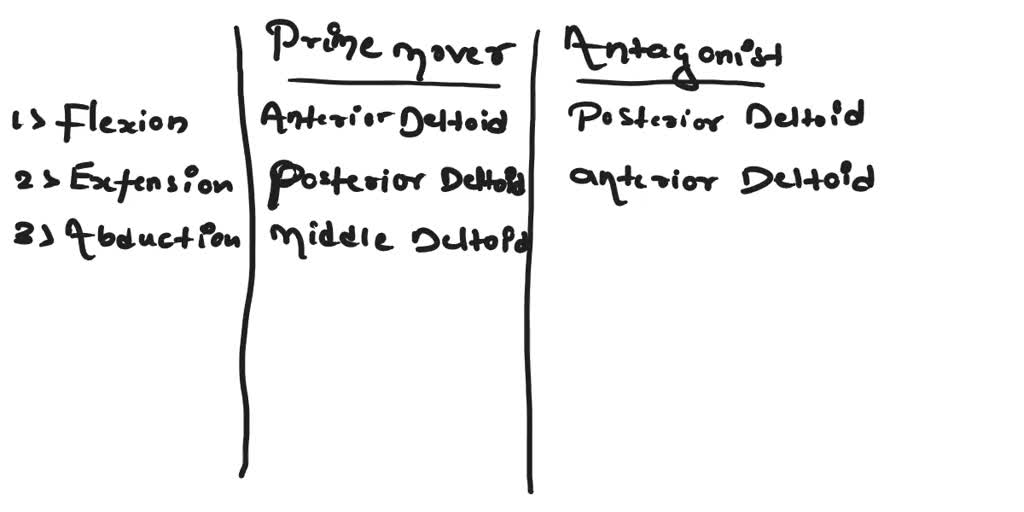 SOLVED: 3. List all (six) possible movements that can occur at the ...