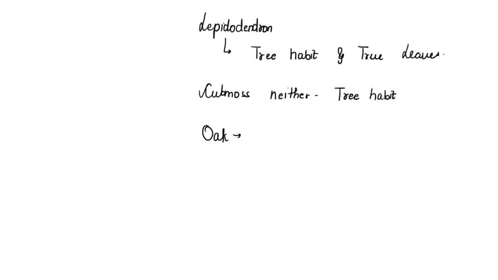 SOLVED: 10. In the tree below, assume that the ancestor (root) of Tree ...