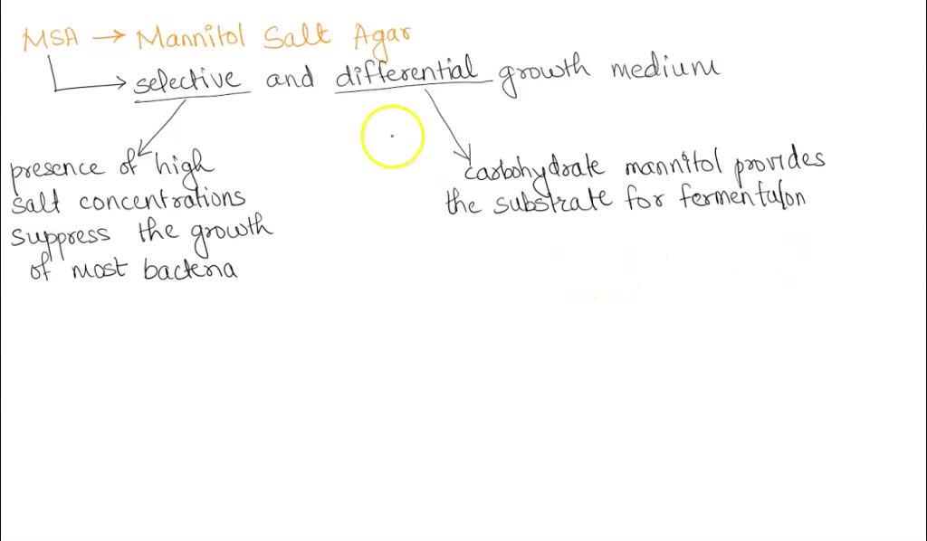 SOLVED: On MSA (or mannitol salt agar) plates 1. only salt sensitive ...