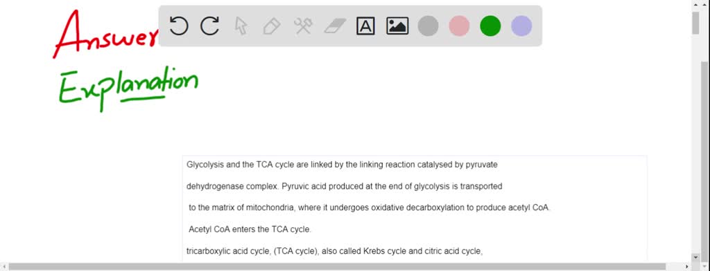 SOLVED: Create a concept map of the phases of cellular respiration ...