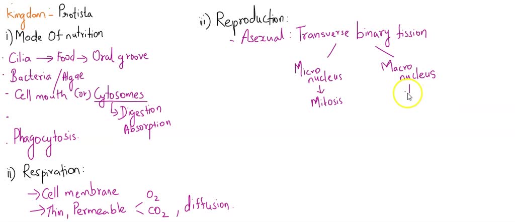 SOLVED: Reproduces and maintains an example explaining how a protist ...