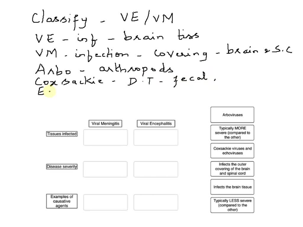 SOLVED: choose the correct terms for each lettered box to complete the ... SOLVED: choose the correct terms for each lettered box to complete the ...