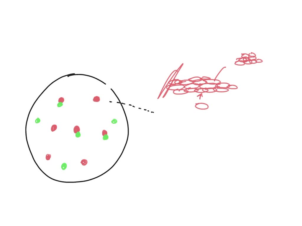 SOLVED: A single colony on a plate that is isolated (not touching any ...