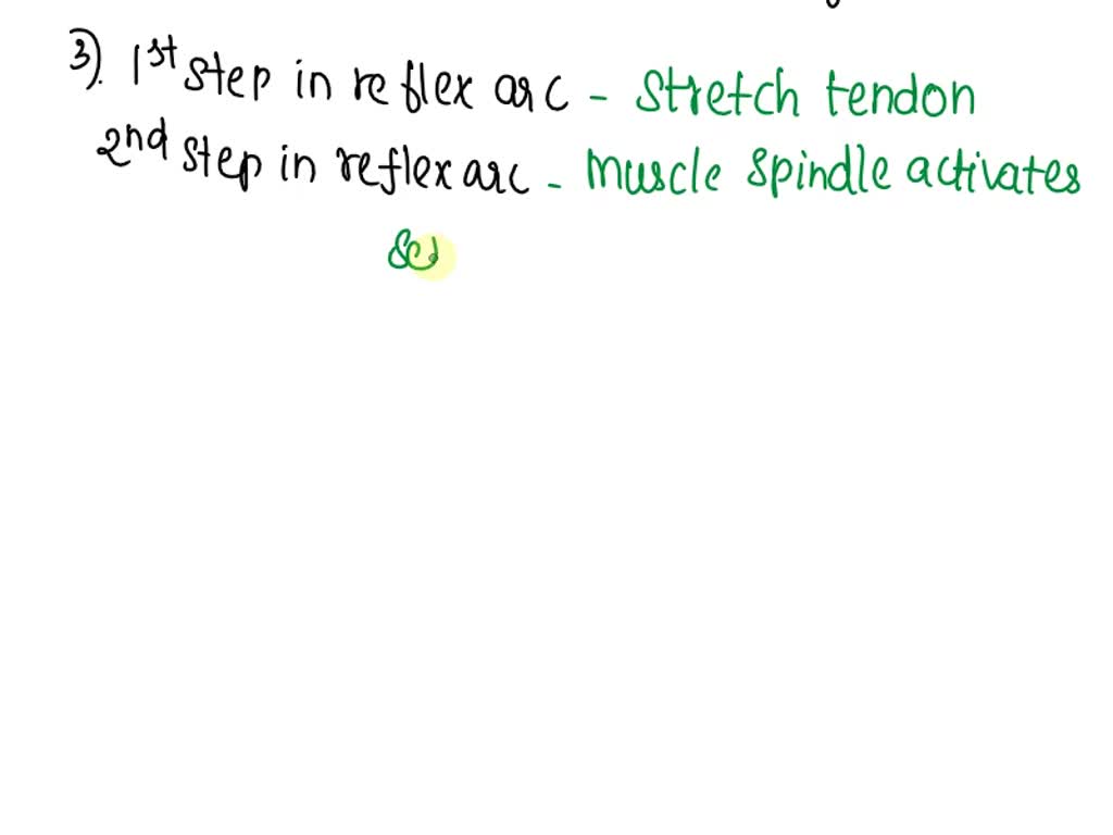 SOLVED: 5. Which muscle contracts during the patellar reflex? 6. What ...
