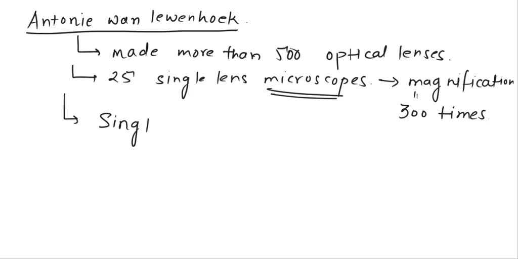 SOLVED: From the following sentences, choose the correct phrase to ...