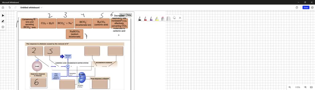 Drag the labels onto the diagram to identify the components of the ...