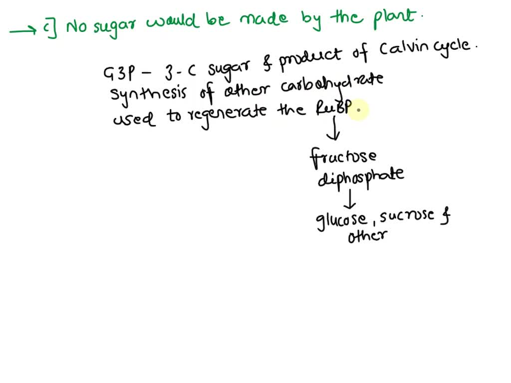 SOLVED: The glyceraldehyde 3-phosphate (G3P) molecules released from ...