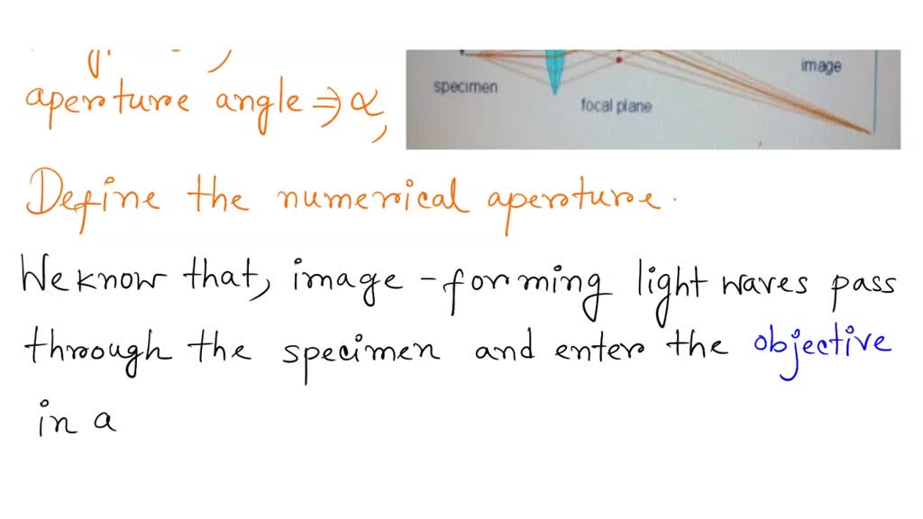 SOLVED: Explain the Abbe theory of image formation in microscope using ...