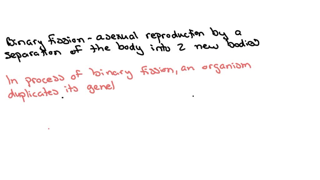 SOLVED: binary fission, asexual reproduction by a separation of the body into new bodies ...
