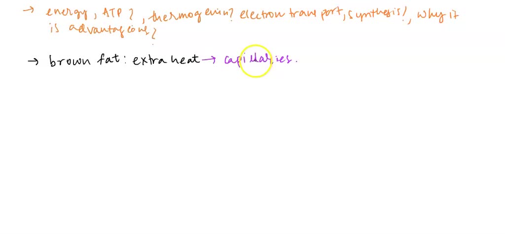 SOLVED: Most newborn mammals, including human infants, have a special ...