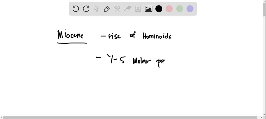 SOLVED: The dental feature used to distinguish early Miocene apes was ...