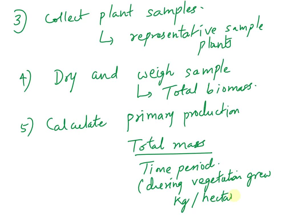 SOLVED: Describe how you measured the biomass (primary production) in a ...