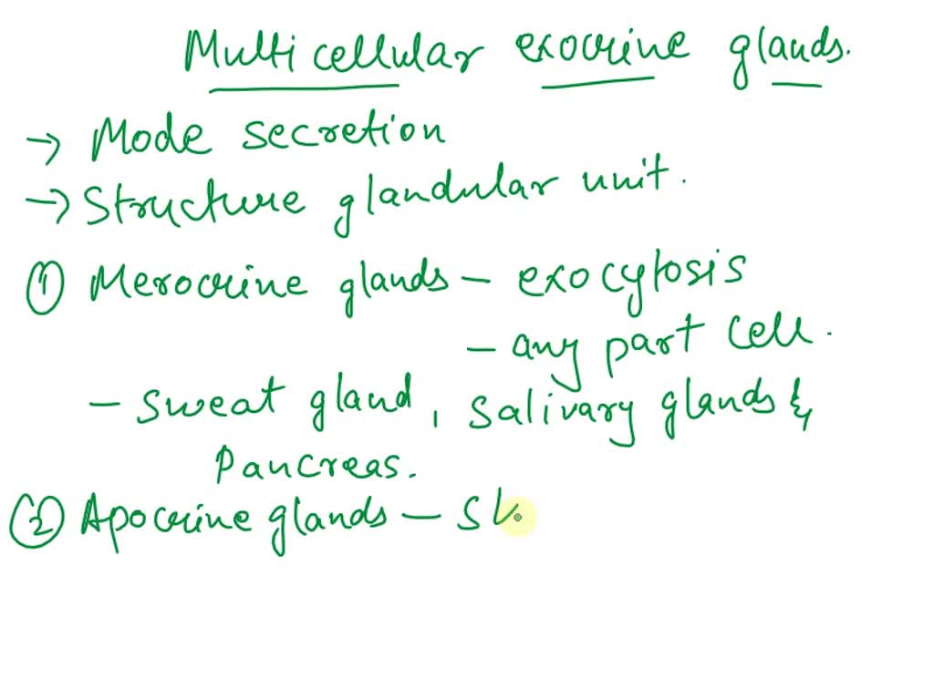 SOLVED: Explain the functional classification of multicellular exocrine ...
