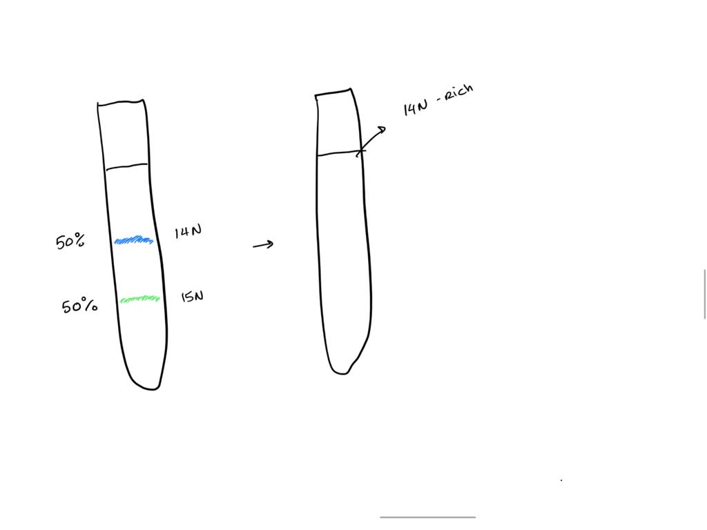 SOLVED: question: What would the data look like if this model was ...