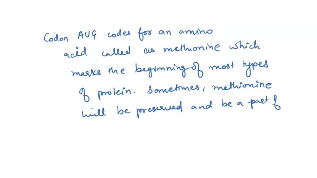 Solved The Genetic Code Was Solved Partly By The Use Of In Vitro Systems To Translate Synthetic