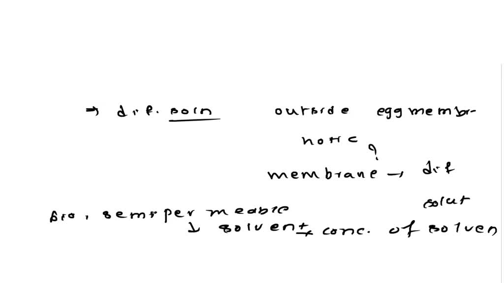 Two identical metal spheres at 8 °C are put into two beakers with equal ...
