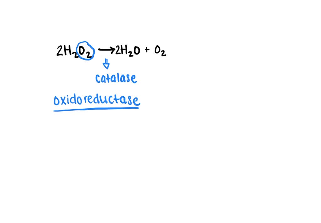 The conversion of hydrogen peroxide (H2O2) to water and molecular ...