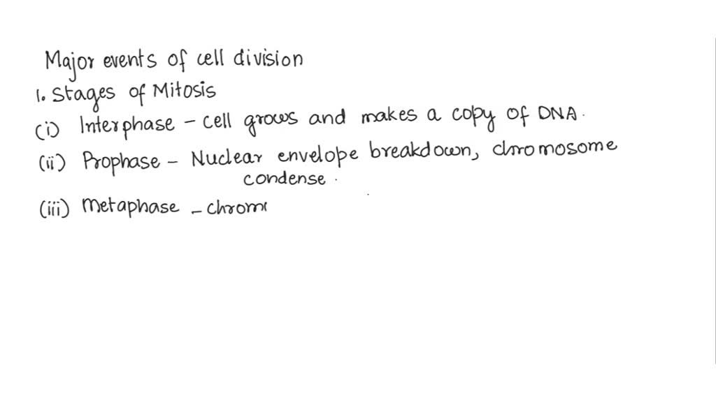 SOLVED: What are the major events that occur during each of the stages ...