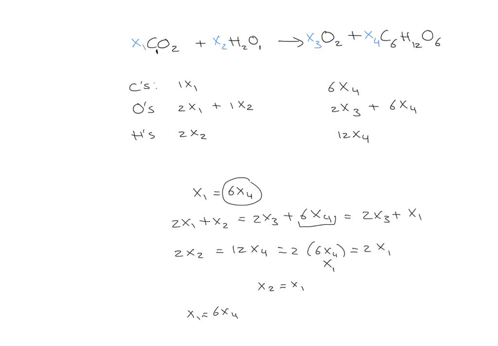 SOLVED: In the process of photosynthesis, plants use radiant energy ...