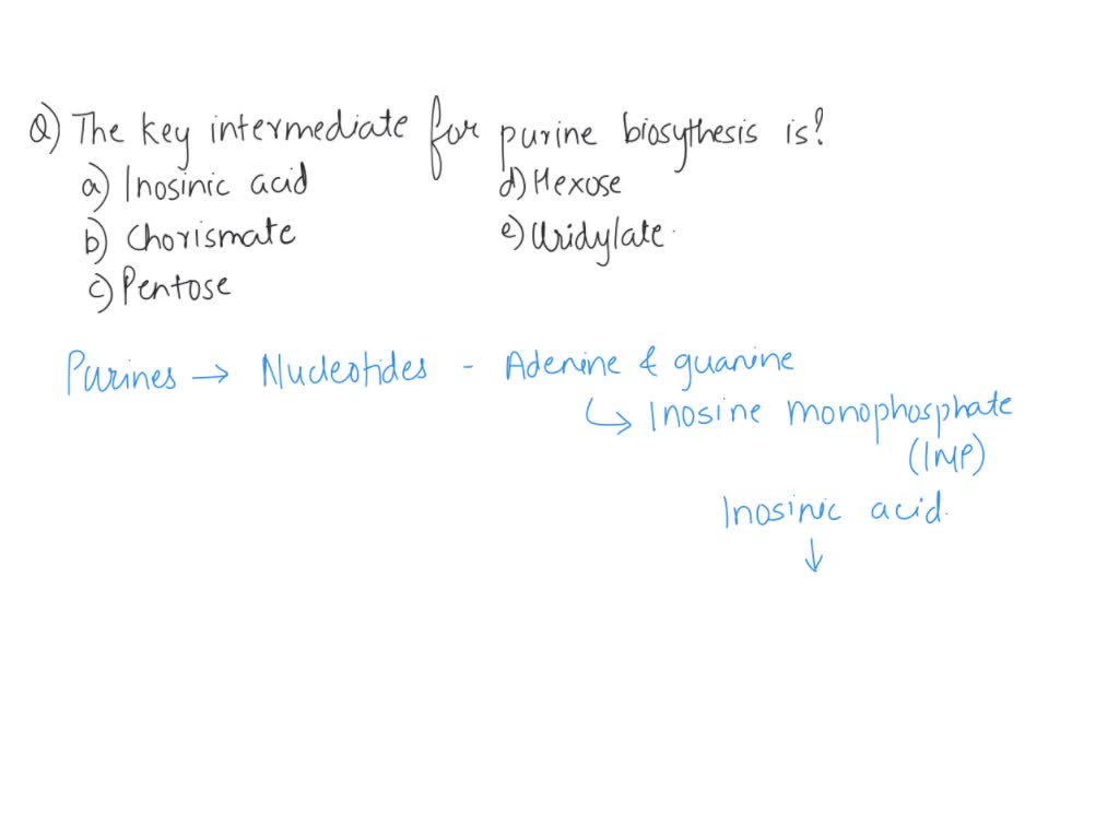 SOLVED: The most common tautomeric form of the purine and pyrimidine ...