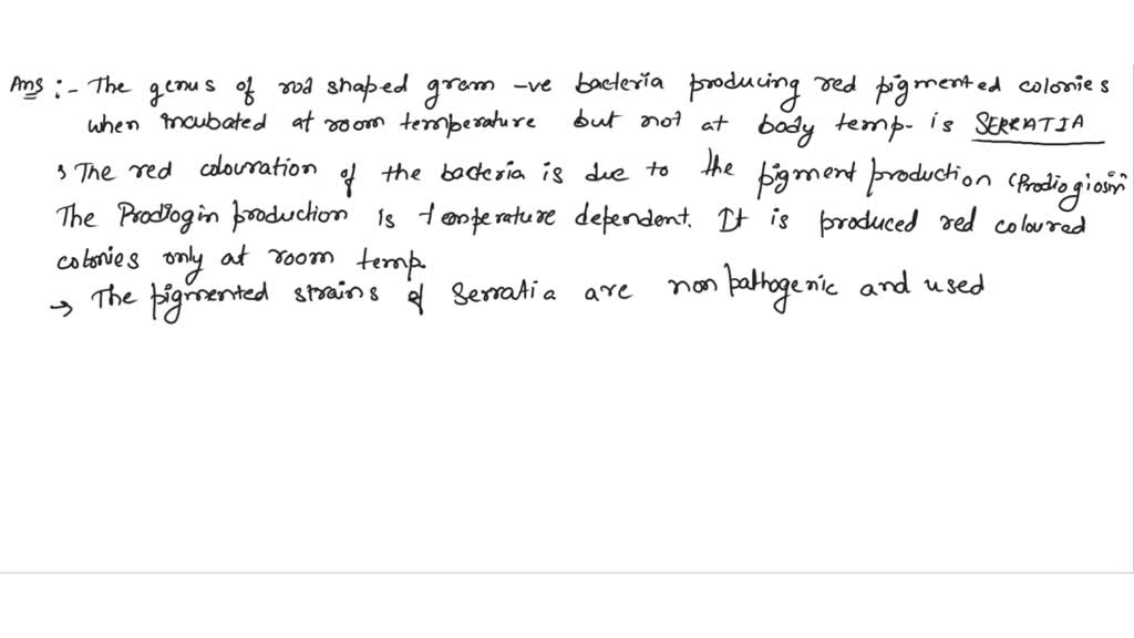 SOLVED: Gram-negative rods Oxidase negative Produces acid from glucose ...