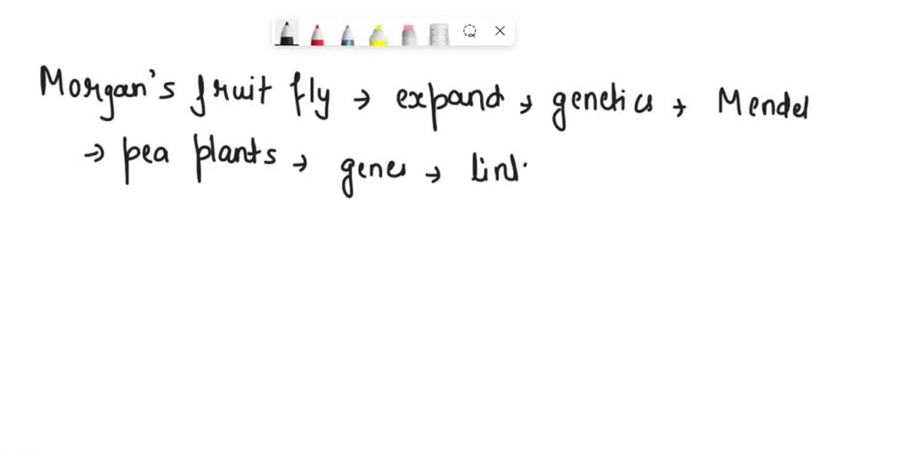 SOLVED: Why did Thomas Morgan's fruit fly experiment crossing wild type ...