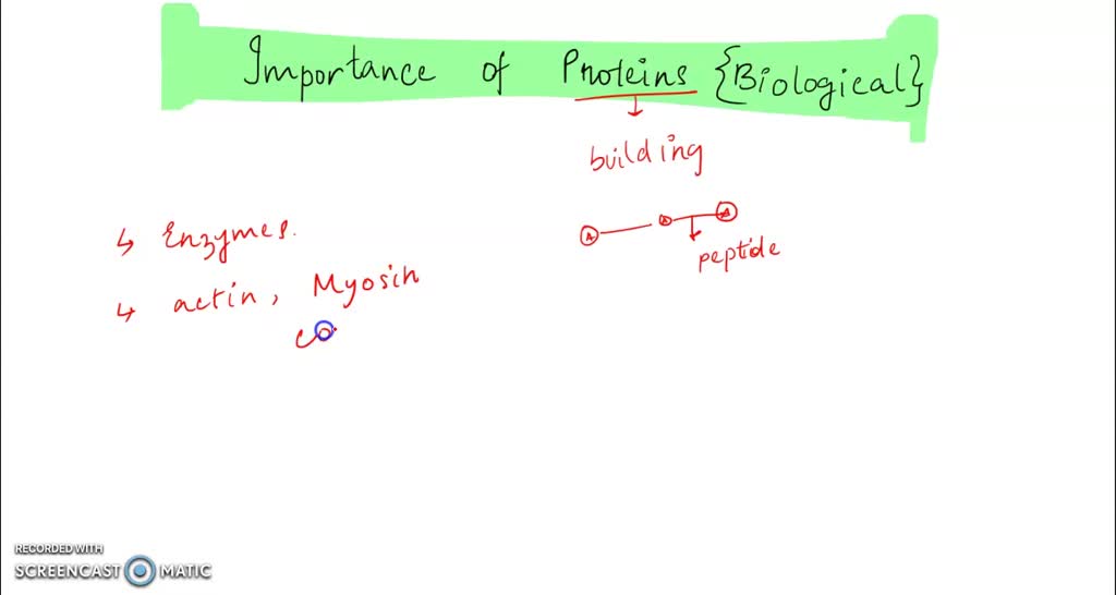 SOLVED Note Use Examples And Expound On The Concepts 1 How SOLVED Note Use Examples And Expound On The Concepts 1 How