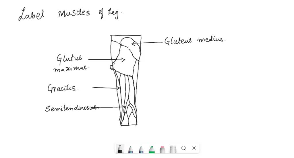 Art-labeling Activity: Figure 10.21a Drag the appropriate labels to ...