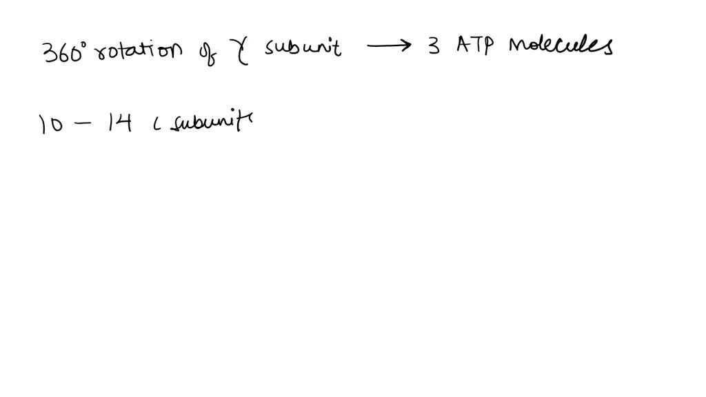 Solved The Number Of C Subunits In The Rotor Ring Of Atp Synthase Defines How Many Protons Need