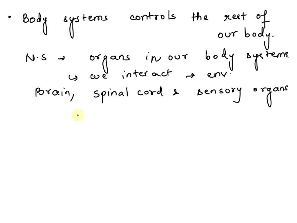 Which muscular system is involved in controlling your endocrine system ...