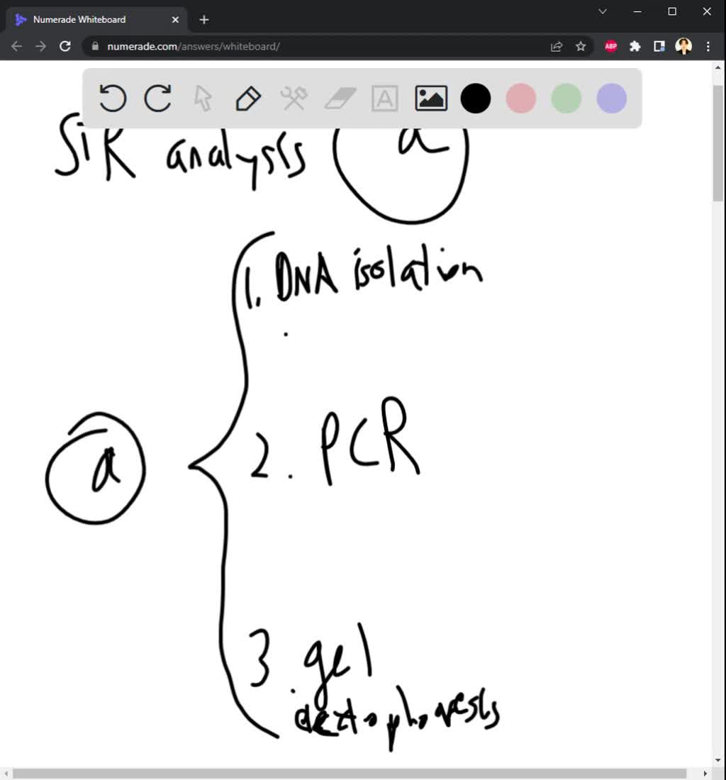 SOLVED: Crime scene Suspect Suspect electrophoresis DNA isolation PCR ...