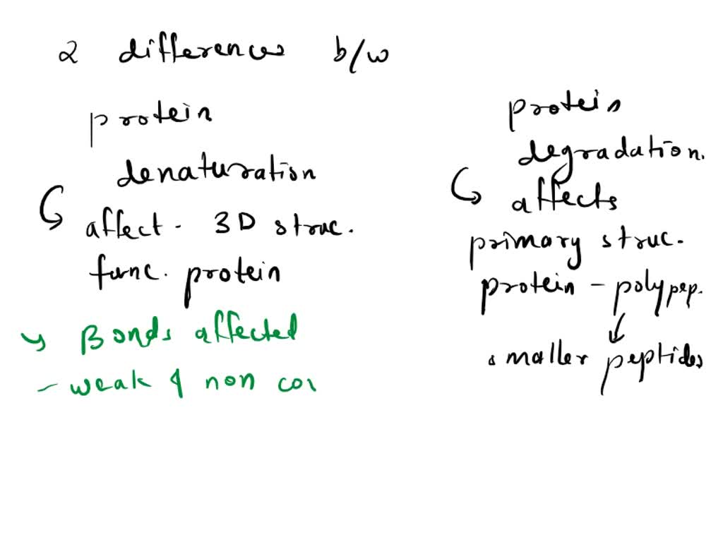 SOLVED: State two differences between protein denaturation and ... SOLVED: State two differences between protein denaturation and ...
