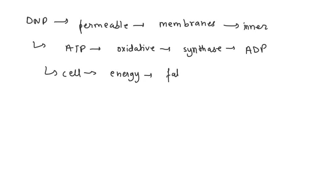 SOLVED: Dinitrophenol (DNP) is a small molecule that renders membranes ...