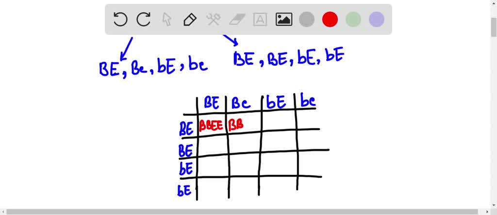In Labrador retriever dogs, two alleles, B and b, determine whether the ...