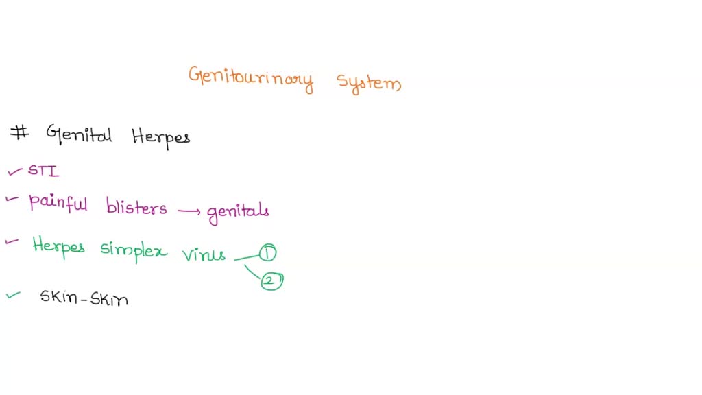 SOLVED: Infectious Diseases Affecting the Genitourinary System Drag and ...