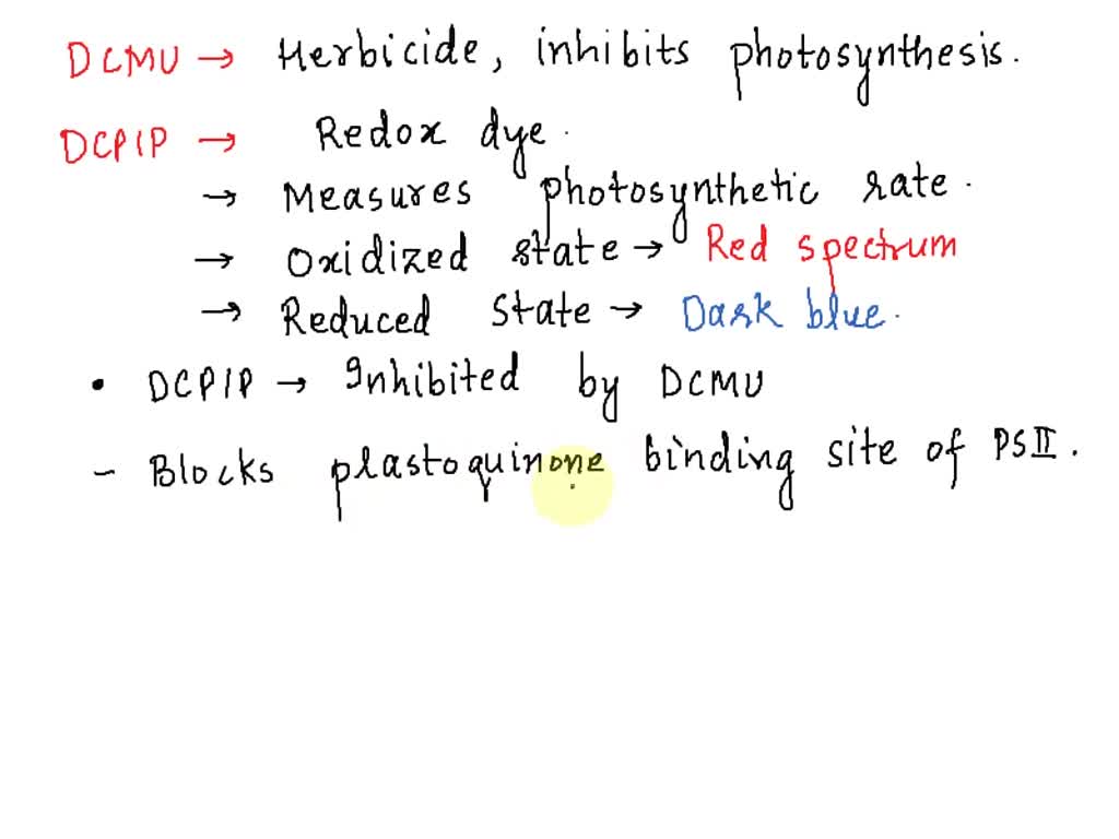 SOLVED: If it was added along with DCPIP and DCMU, a chemical that ...