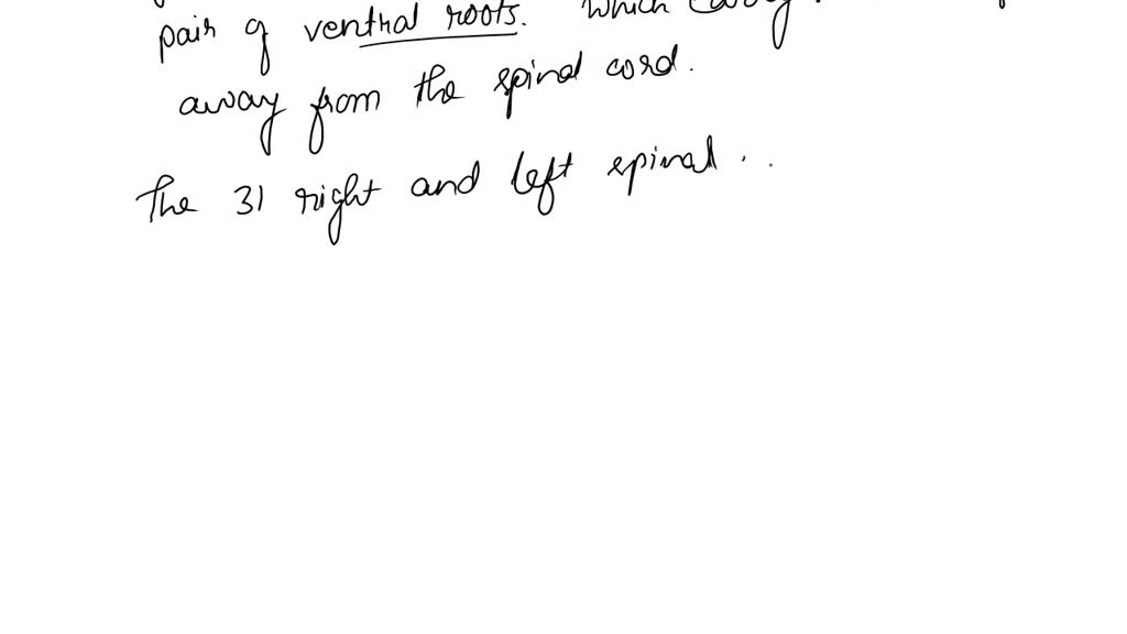 SOLVED: a) points of decussation for each pathway b) level of neuraxis ...