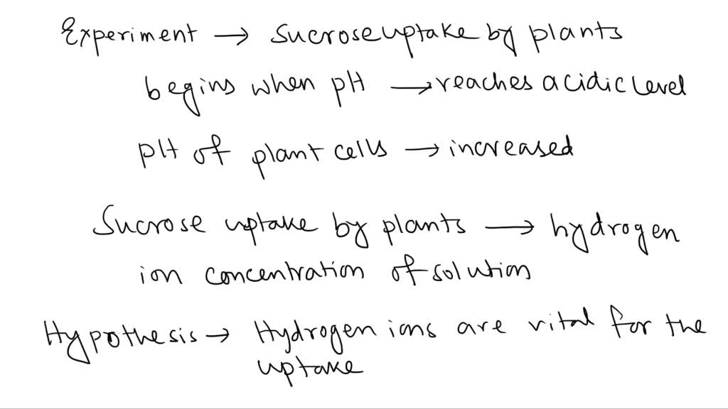 SOLVED: an experiement is designed to study the mechanism of sucrose ...