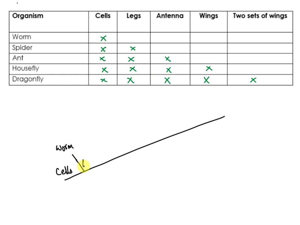 'Directions: Fill out the following character matrix. Mark "X" if an ...