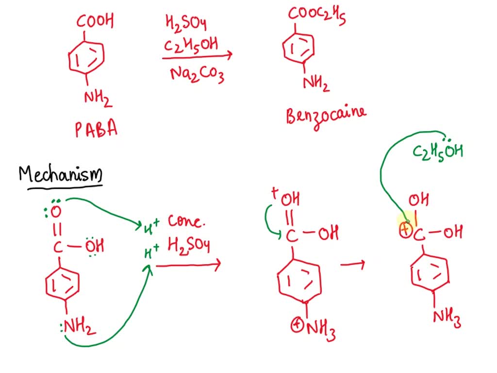 Benzocaine Synthesis