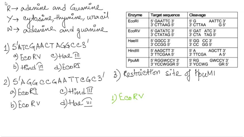 SOLVED: "The following table shows where different restriction endonucleases (restriction ...